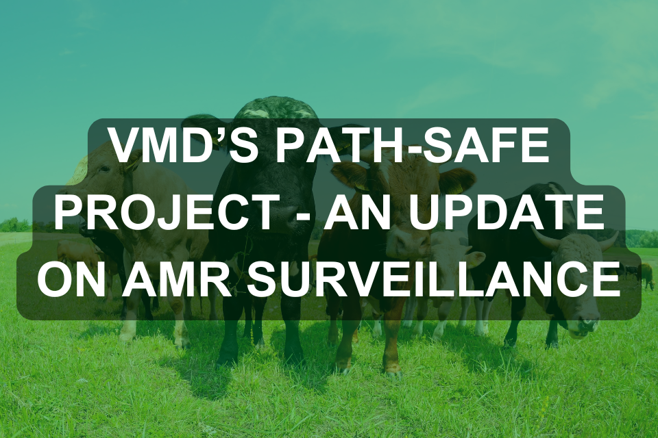 VMD’s PATH-SAFE project – an update on AMR surveillance – Veterinary ...