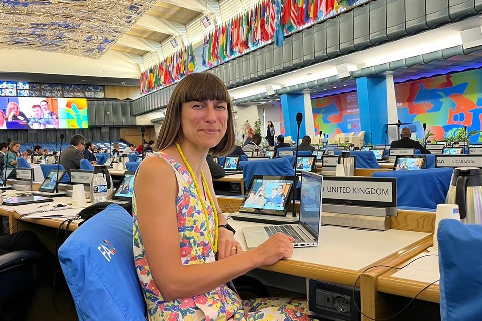 VMD AMR team International Engagement – Veterinary Medicines Directorate