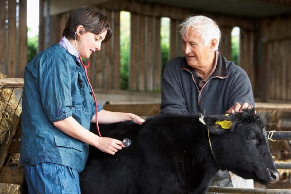 Animal Health and Welfare Pathway and AMR – Veterinary Medicines ...