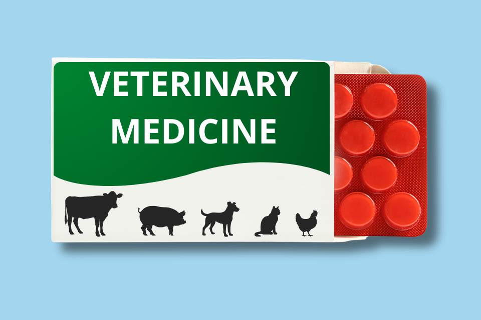 Authorised veterinary medicines and the flexibility of the prescribing ...