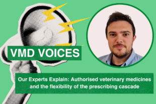 Authorised veterinary medicines and the flexibility of the prescribing ...