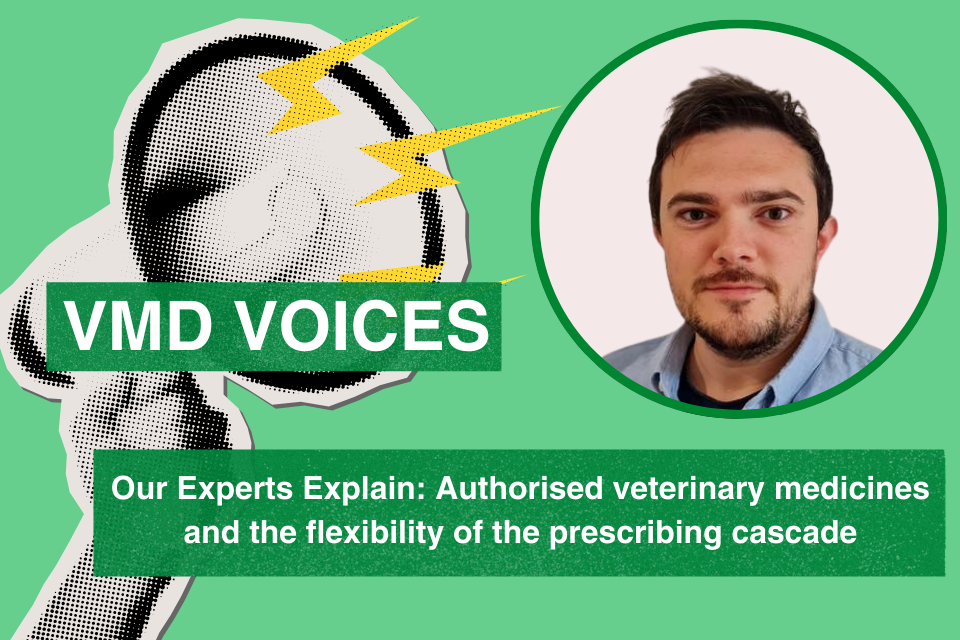 Authorised veterinary medicines and the flexibility of the prescribing ...
